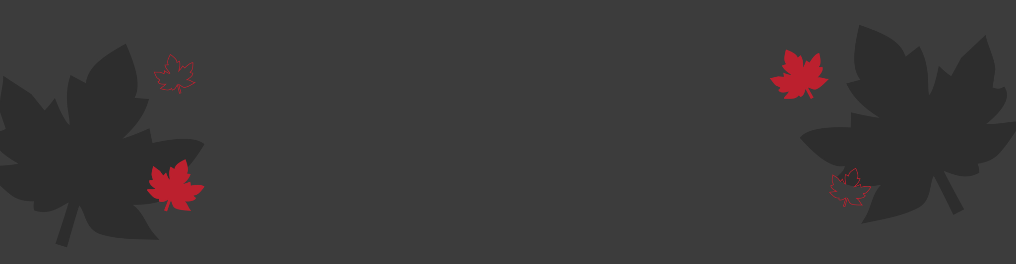 The CIO Leadership Training Program and Courses